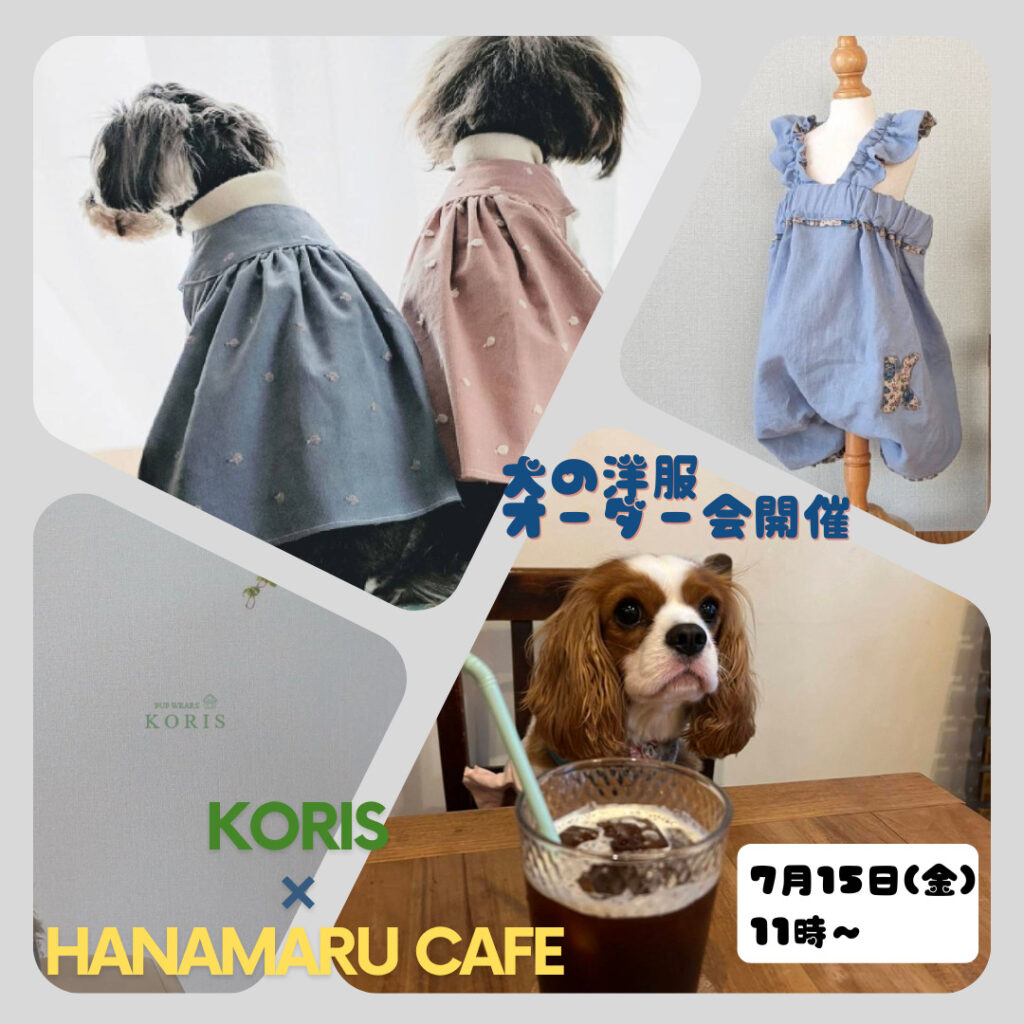 Hanamaru Café（はなまるカフェ） - 東小金井でドッグカフェ｜キャバリア